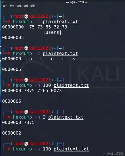 kali linux使用命令进行16编码、使用hexdump命令查看各类文件 kali xxd csdn博客