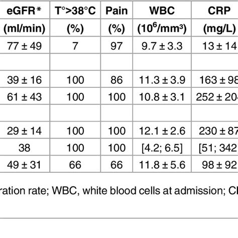 Transretal Ultrasound Of Patient Seminal Vesicles Megavesicles