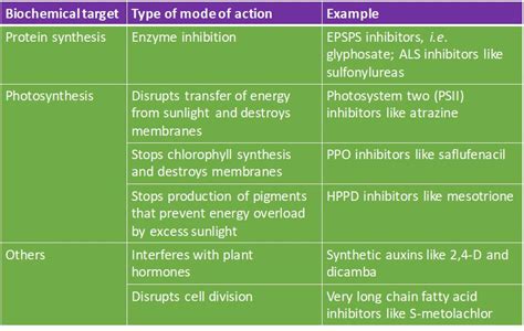 How Herbicides Control Weeds Mode Of Action Explained Moa Technology