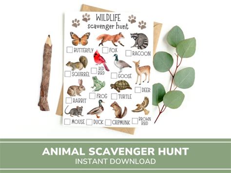 Scavenger Animals List