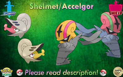 Shelmet Pokdex Stats Moves Evolution Locations