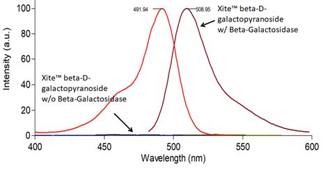 Fluorescent Detection Of Cell Senescence For Flow Cytometry And Imaging Applications Aat Bioquest