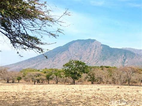 Berita Dan Informasi Afrika Van Java Terkini Dan Terbaru Hari Ini Detikcom