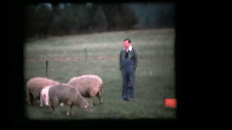Super 8 Schaafe Cc Lw Wmv Youtube