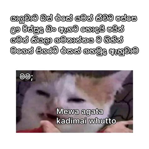 ගේ කුරුල්ලා R Sinhalamemes