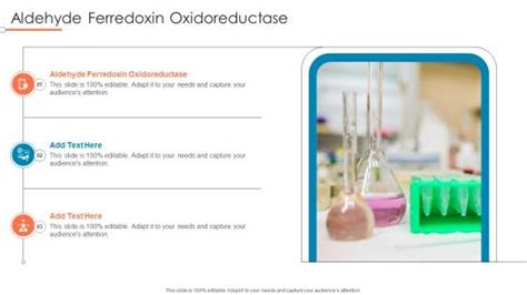 Aldehyde Ferredoxin Oxidoreductase Powerpoint Presentation And Slides Ppt Presentation Slideteam