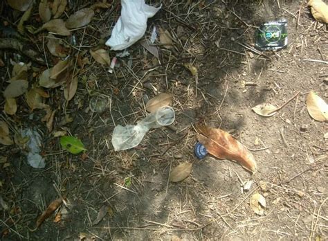 Man And Woman Allegedly Caught Performing SEX ACT In Public Liverpool Echo