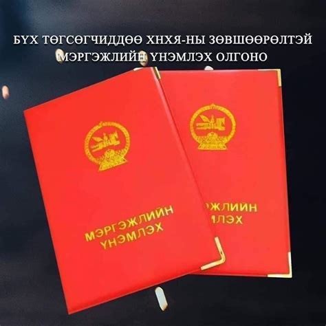 Барилгийн сантехник гагнуур Мэргэжлийн ҮНЭМЛЭХТЭЙ 3 н төрлийн ГАГНУУРЧИН” бэлтгэх