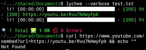 Youtube Link Not Checked Properly · Issue 906 · Lycheeverselychee