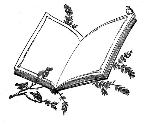 Силуэт книги раскрытой на прозрачном фоне - фото и картинки abrakadabra.fun