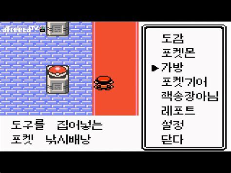 양띵tv후추 포켓몬 후레이너 포켓몬 마스터가 될거야 10 통신진화 포켓몬스터 골드버전 Youtube