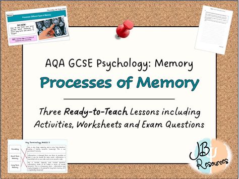 Processes Of Memory Lesson Bundle Aqa Gcse Psychology Memory Topic Teaching Resources