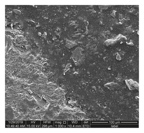 Morphology Of Sfp Sample Cured By 3 Days A Scale Bar 100 μm B