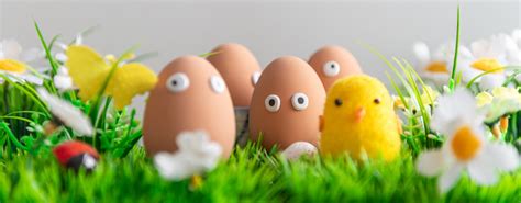 고립 된 회색 배경 부활절 달걀 사냥 프레임 재미있는 얼굴 행복한 부활절 개념 배경의 부엌 부활절에 꽃이있는 봄 잔디 중 행복한 부활절 달걀 0명에 대한 스톡 사진 및 기타