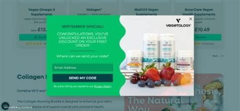 10 Opt In Form Examples Templates That Will Grow Your Subscriber List Fast OptiMonk Blog