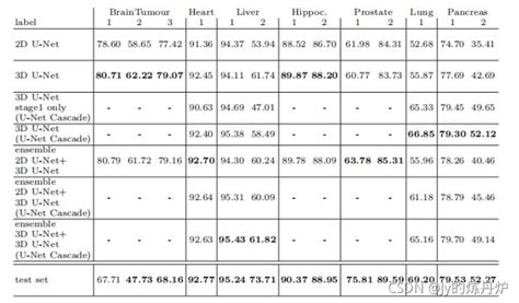 【论文笔记 医疗影像分割—nnunet】nnu Net Self Adapting Framework For U Net Based