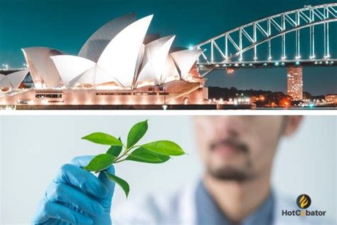 Social Network Analysis Types When Use It Challenges Hotcubator Learn Grow Catalyse