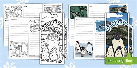 Penguin Leaflet Template Teacher Made Twinkl