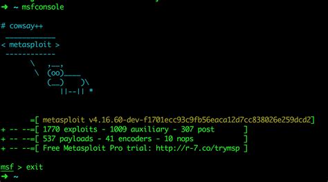 Osx Why Msfconsole Is Always Showing Please Answer Yes Or No Unix