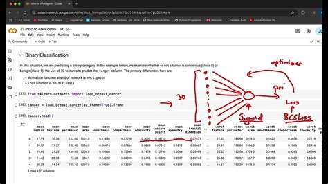Intro To Binary Classification With Pytorch Youtube