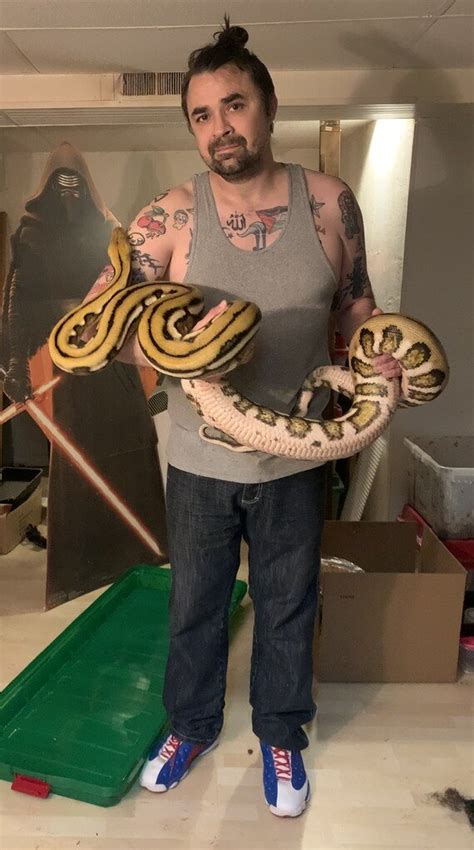 Adult Super Dwarf Retic Pair Photos Reticulated Pythons Morphmarket