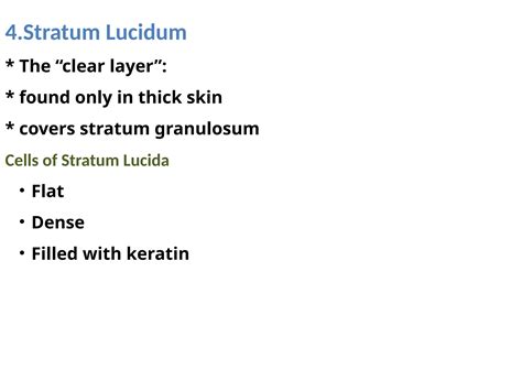 Integumentary System: Structure, Functions, and Importance | PPTX