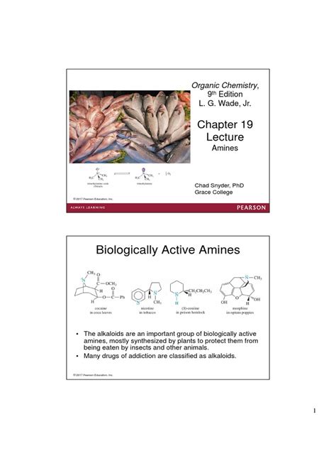 Biologically Active Amines Organic Chemistry Pdf Amine Chirality