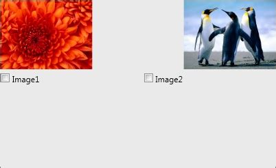 C On MouseOver Does Not Resize Image To Fit The Given Height And Width Wpf Window Using Xaml