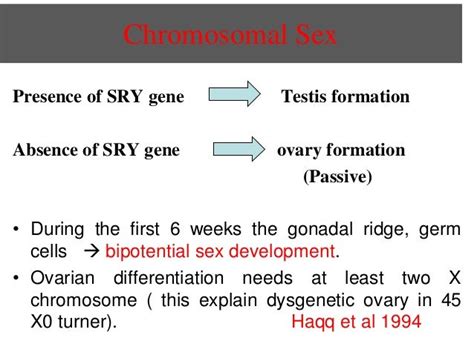 Disorders Of Sex Development