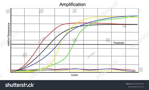 Amplification Curve Real Timepcr Qualitative Pcr Stock Vector Royalty