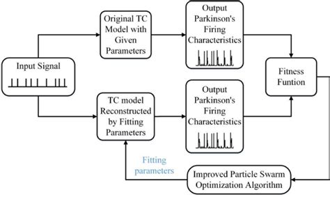 基于改进粒子群优化算法的影响帕金森状态关键参数的tc模型拟合 scientific reports x mol