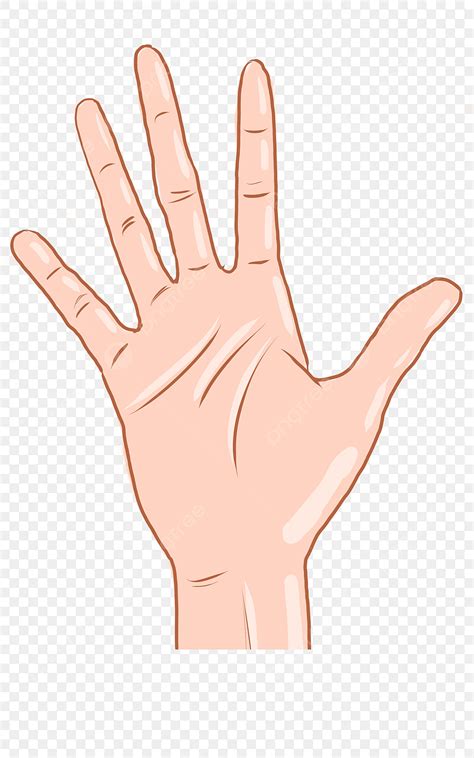 손바닥 자세 일러스트 손가락 제스처 안녕 안녕 제스쳐 인사는 Png 일러스트 및 Psd 이미지 무료 다운로드 Pngtree