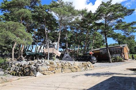 그래가 영월 한반도 캠핑장