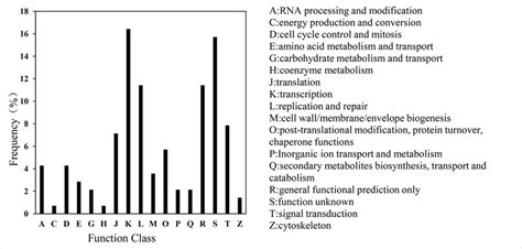 cog functional classification of consensus sequences in soybean cog