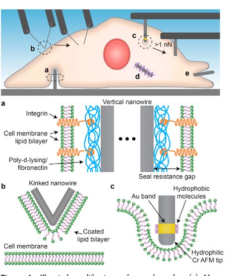 Figure 1 From Optimizing Nanoelectrode Arrays For Scalable
