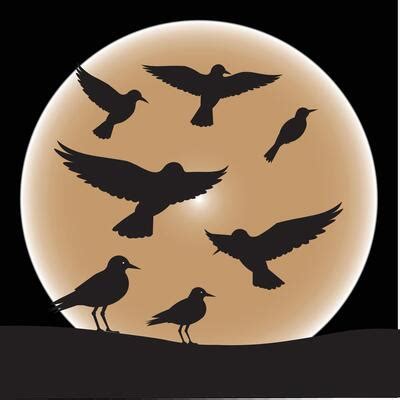 Moon Bird Vector Art Icons And Graphics For Free Download