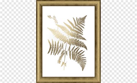 프레임 금박 고사리 예술 금 잎 직사각형 Png Pngegg