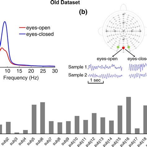 Alpha Oscillations During Ec And Eo Resting State In Young Adults A Download Scientific