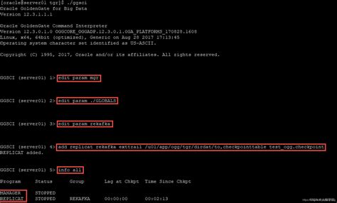 大数据 玩转数据 Oracle Goldengate（ogg） Csdn博客