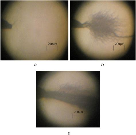 Typical Growth Process Of The Electrical Tree A Tree Initiation B