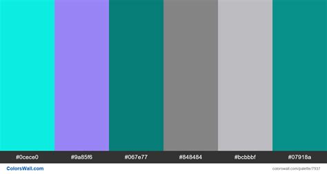 design creative programmer colors palette colorswall