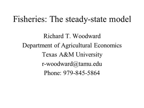Steady State Model