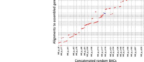 5 Mummer Alignment Of A Concatenation Of 21 Bacs Against The Assembled