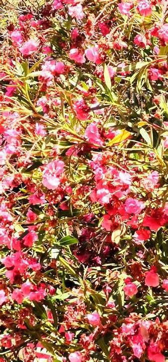 사랑은 무례히 행하지 아니하며 자기의 유익을 구하지 아니하며 성내지 아니하며 악한 것을 생각하지 아니하며 불의를 기뻐하지 아니하며 진리와 함께 기뻐하고 고전 135