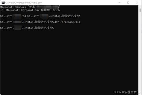 批量修改文件名 ren命令批量改名问题 csdn博客