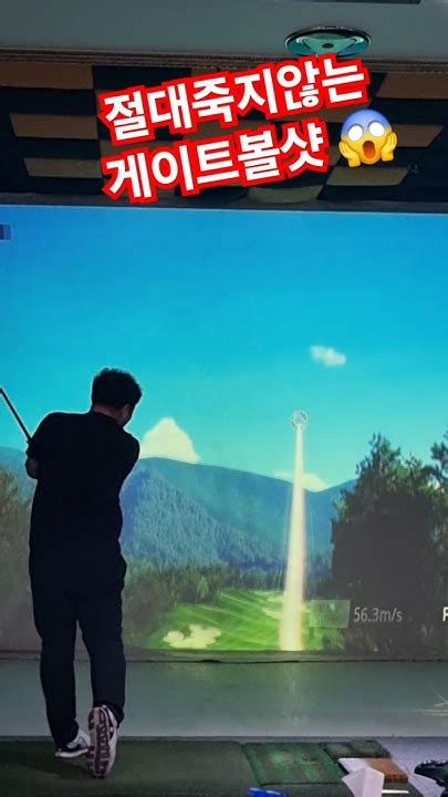 게이트볼샷😱골프레슨아이언레슨필드레슨골프골프존퍼터퍼팅퍼터레슨퍼팅레슨비거리레슨드로우샷페이드샷드라이버샷레슨루틴숏게임숏게임레슨필드숏게임루틴페이드샷