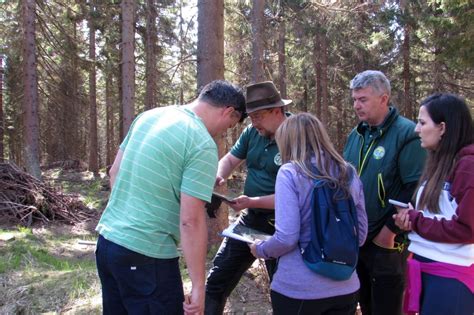Bark Beetle Attack Early Stage Detection In The Krkonoše Mts Tilspec