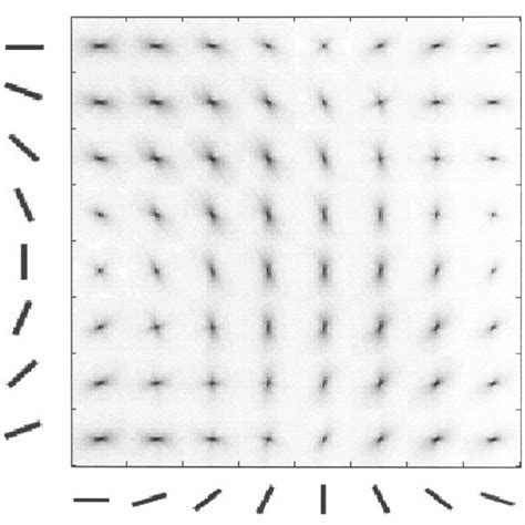The Autocorrelation Function Of A Set With Eight Orientations The Set Download Scientific