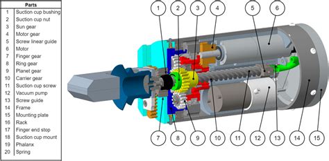 Frontiers A Compact Underactuated Gripper With Two Fingers And A