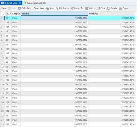 Arcgis Pro Add Labels To An Irregular Fishnet For Column And Row Using ArcPy Geographic